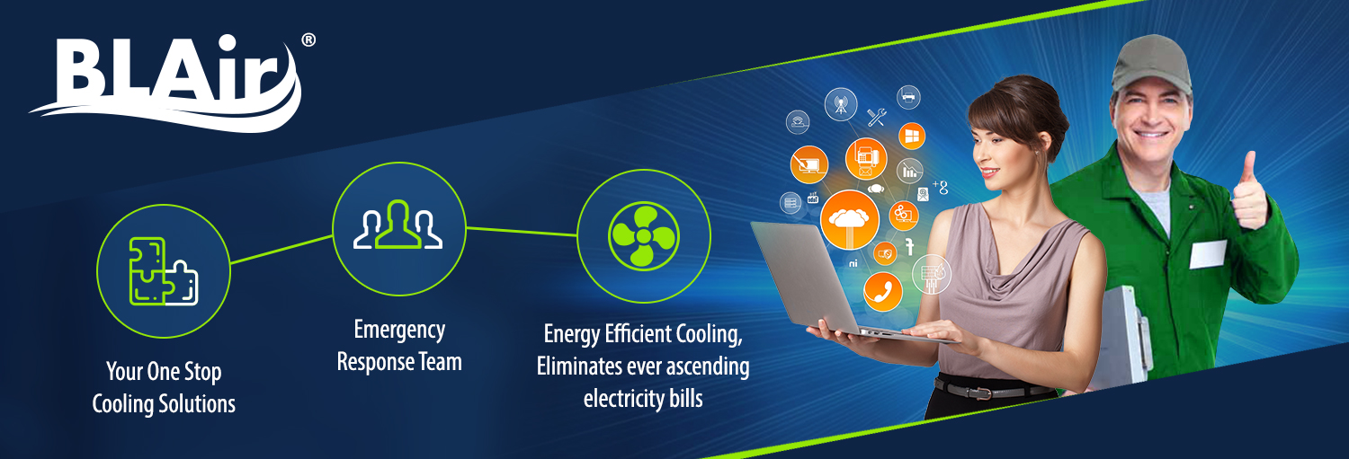 Website-Banner - B.L. Thomson
